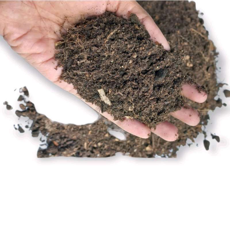 Jual Humus Daun Bambu Media Tanam 300gr | Humus Daun Organik | Daun ...