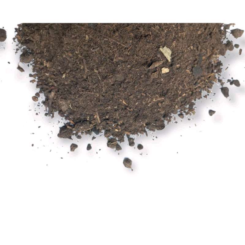 Jual Humus Daun Bambu Media Tanam 300gr | Humus Daun Organik | Daun ...