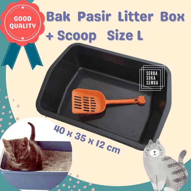 Mau Pelihara Kucing? Berikut 5 Barang Wajib Kamu Miliki - Blibli Friends