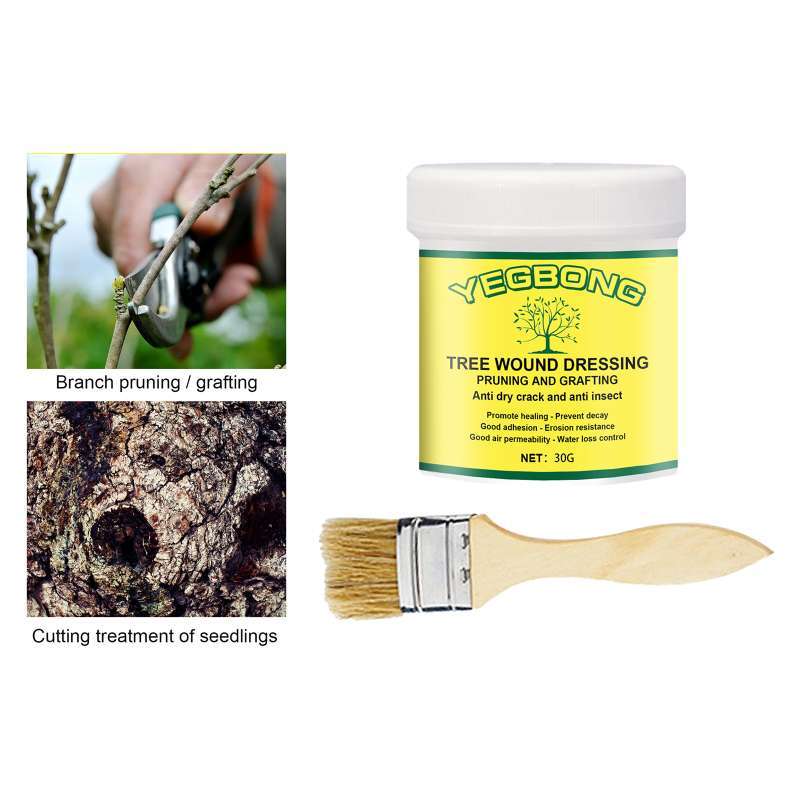 Promo Premium Tree Wound Sealer Treatment Cream Cut Heal Tree Wounds ...