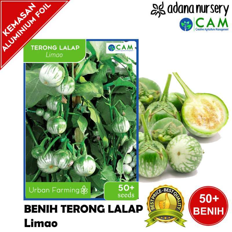Pohon Limao