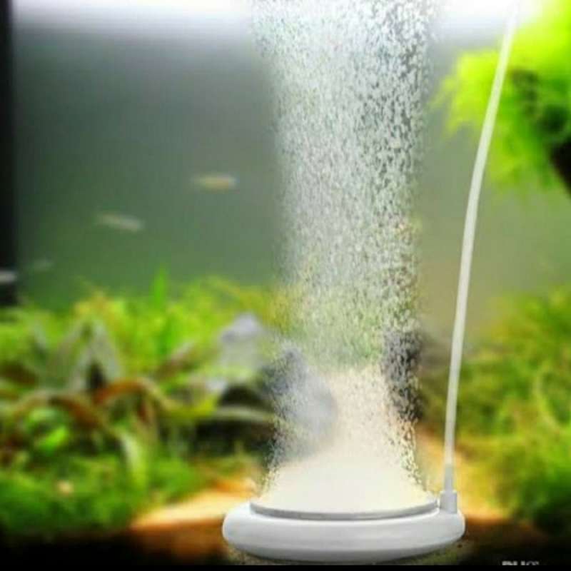Jual Nano Air Bubble Diffuser 5 cm Batu Aerator Nano. Aerasi Aquarium ...