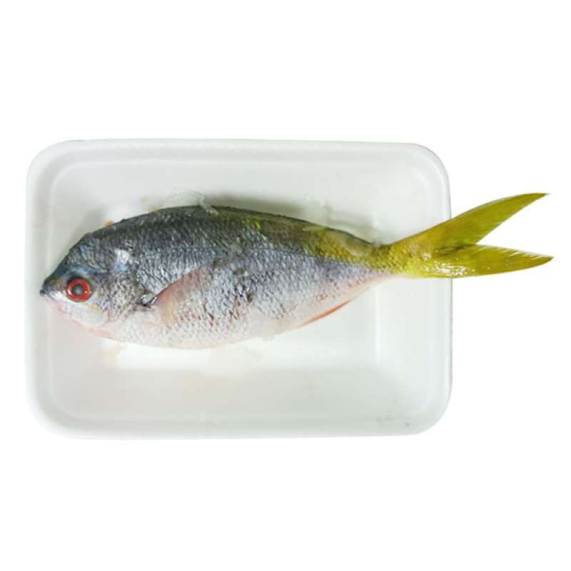 Jual IKAN FRESH EKOR KUNING 350 GR di Seller Hypermart Solo Grand Mal ...