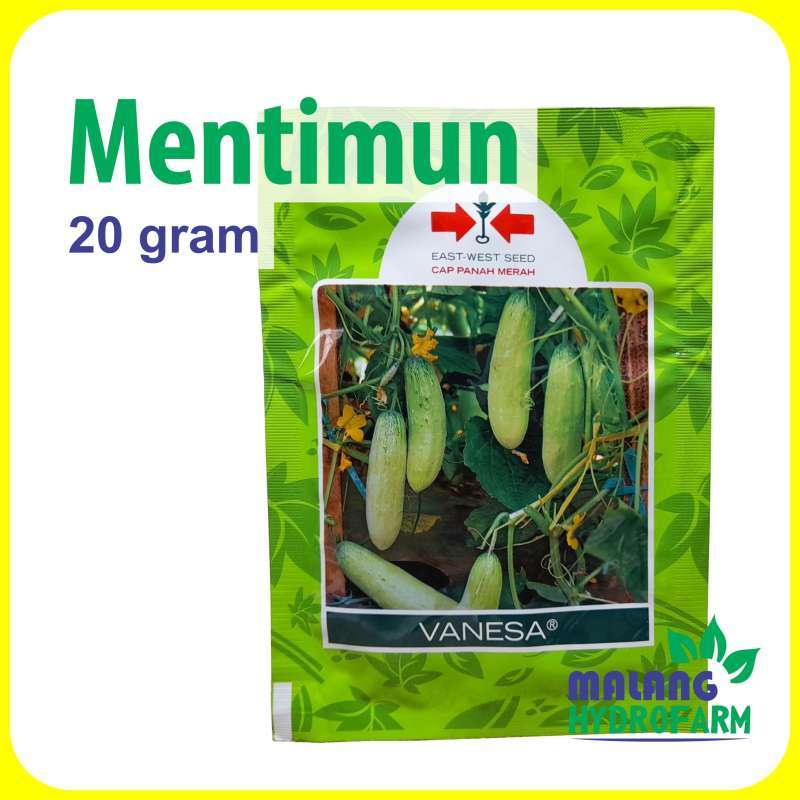 Jual Benih Mentimun Vanesa 20 Gram Cap Panah Merah Timun Unggul Ketimun ...