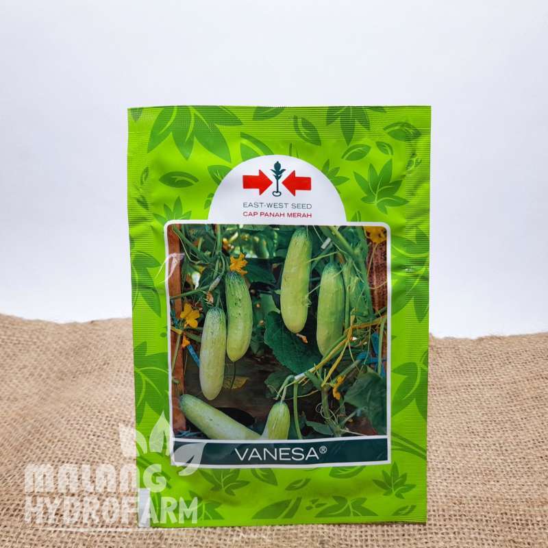 Jual Benih Mentimun Vanesa 20 Gram Cap Panah Merah Timun Unggul Ketimun ...