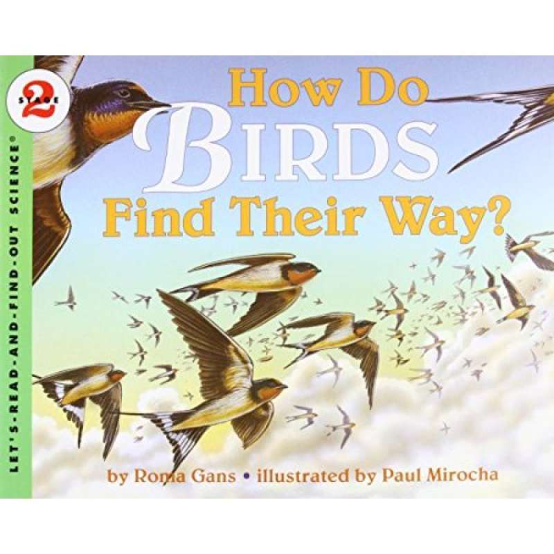 Jual How Do Birds Find Their Way di Seller Desertcart - United States ...