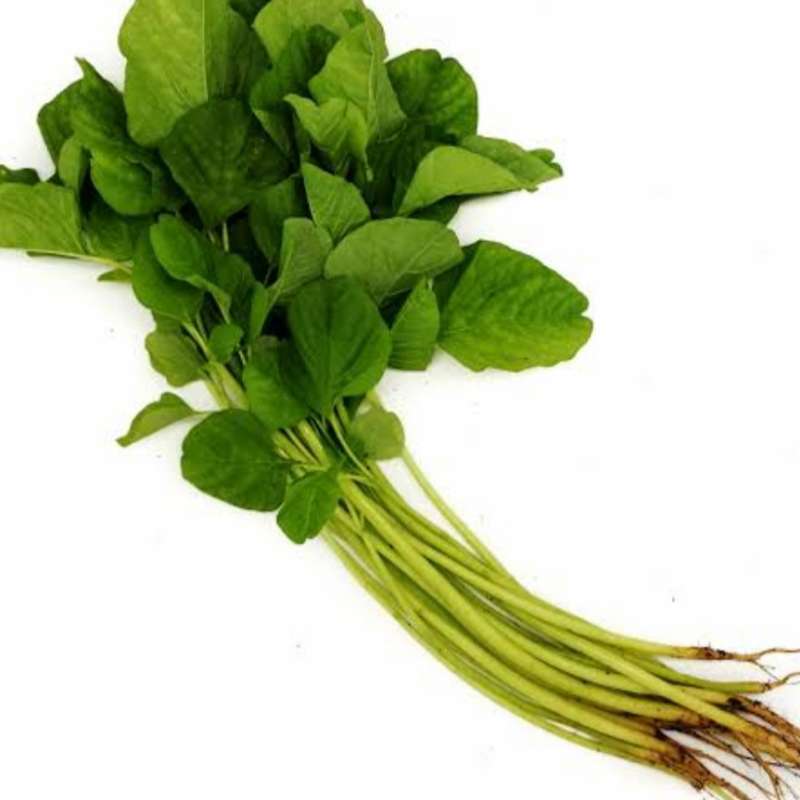 Jual Sayuran bayam segar 1ikat Halal di Seller Miracle Organic - Lebak ...