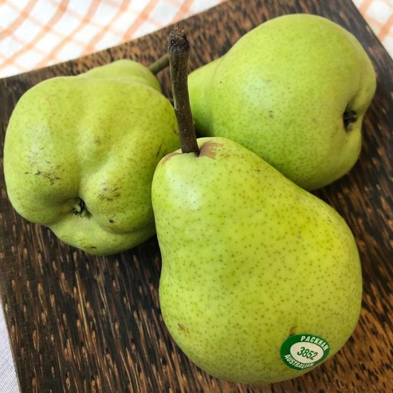 Jual PEAR PACKHAM / PEAR JAMBU Buah-buahan 1kg di Seller PD sumber ...
