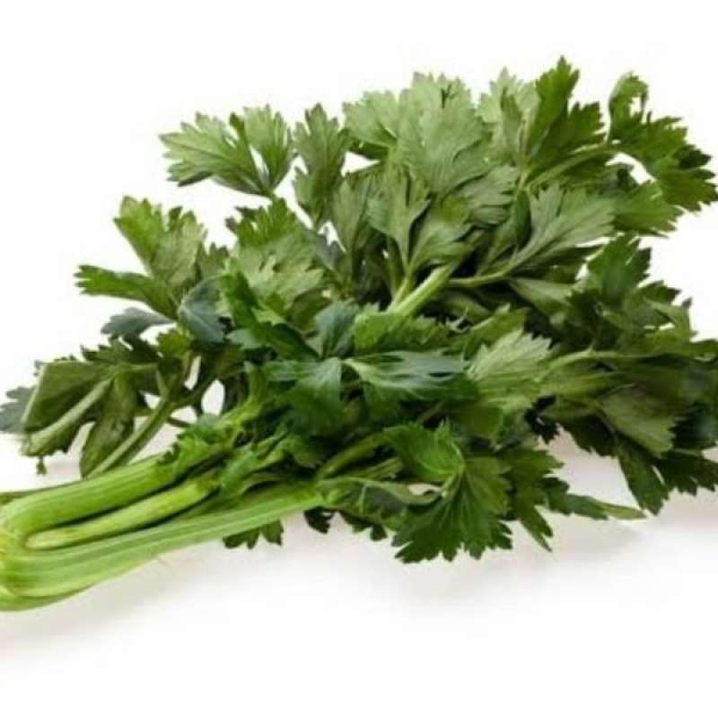 Promo daun sop seledri - 1 kg Diskon 17% di Seller Enka Online - Tompo ...