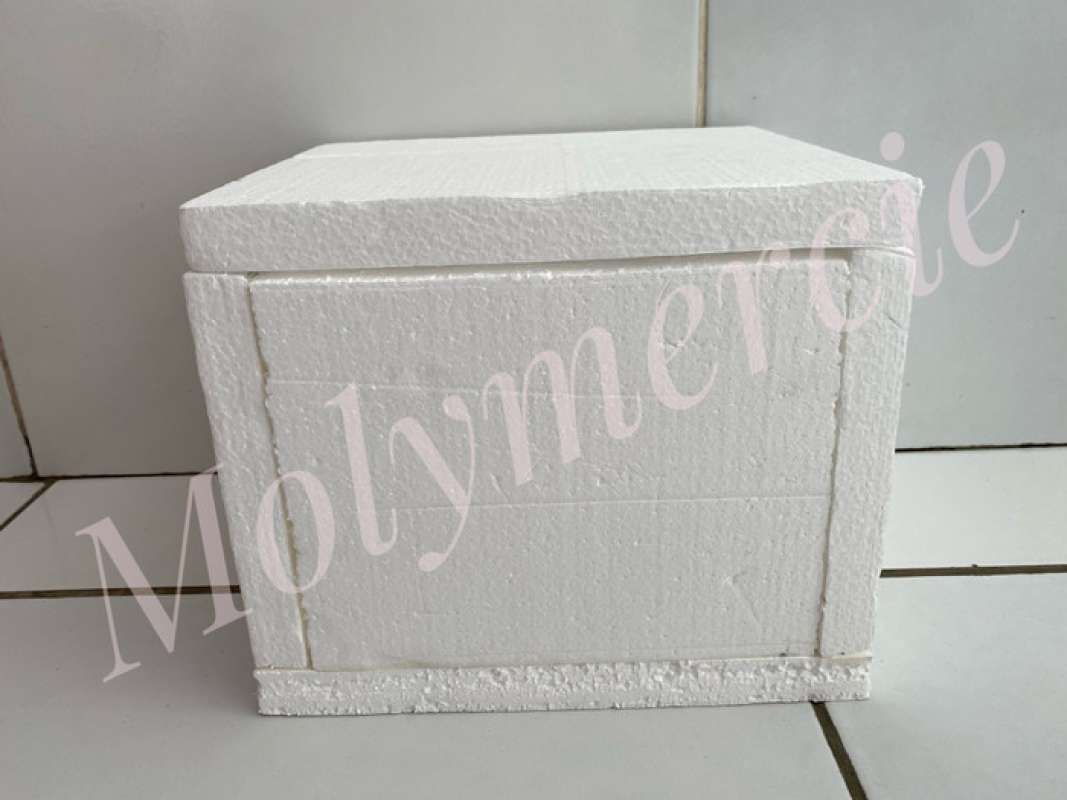 Jual Styrofoam box + ice dry ice untum eskrim woody (max isi 15 pcs ...