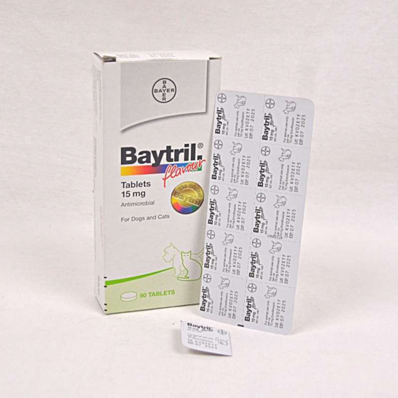 Jual Baytril Flavour Termurah - Harga Grosir Terupdate Hari Ini | Blibli
