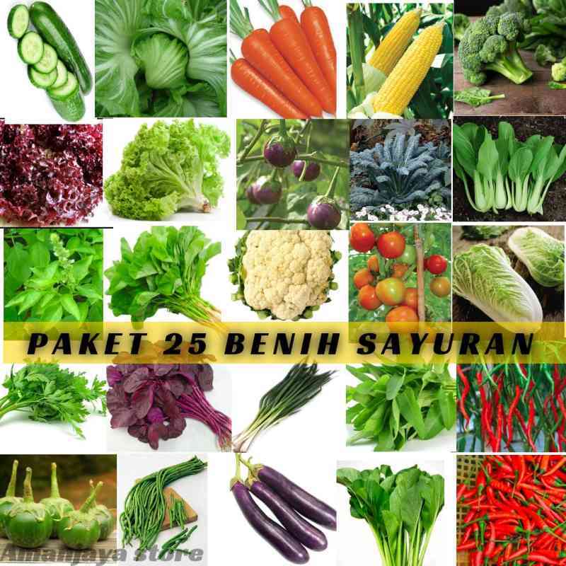 Jual PAKET 25 JENIS BENIH SAYURAN/ Hydroponik +BONUS di Seller Amanjaya Storee - Sangkanhurip ...
