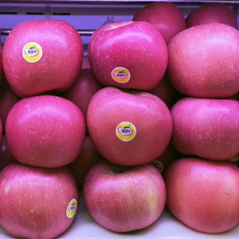 Jual Apel Fuji Alfa Premium 1 Kg Di Seller Faith Fresh - Sunggal, Kota ...