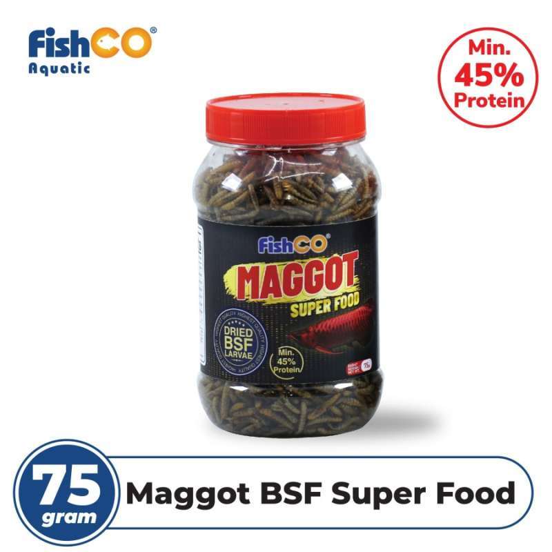 Promo Dried Maggot BSF Larva Super Food Premium Pakan Ikan High Protein ...