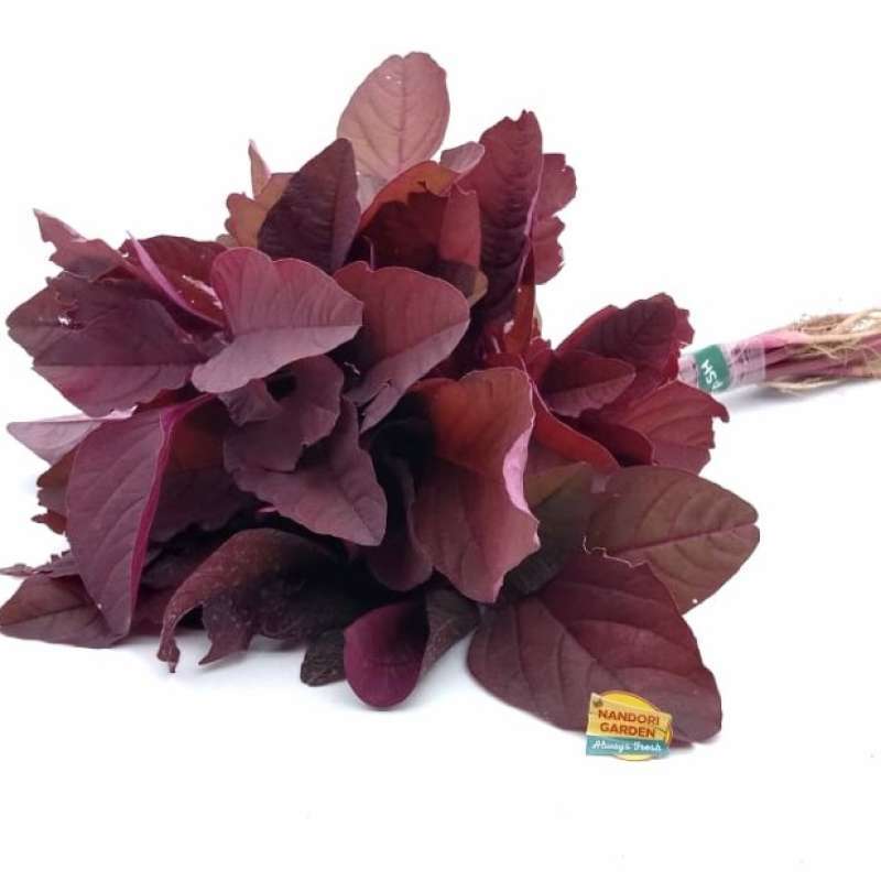 Jual Bayam Merah Fresh Halal di Seller Nandori Garden - Pegangsaan Dua ...