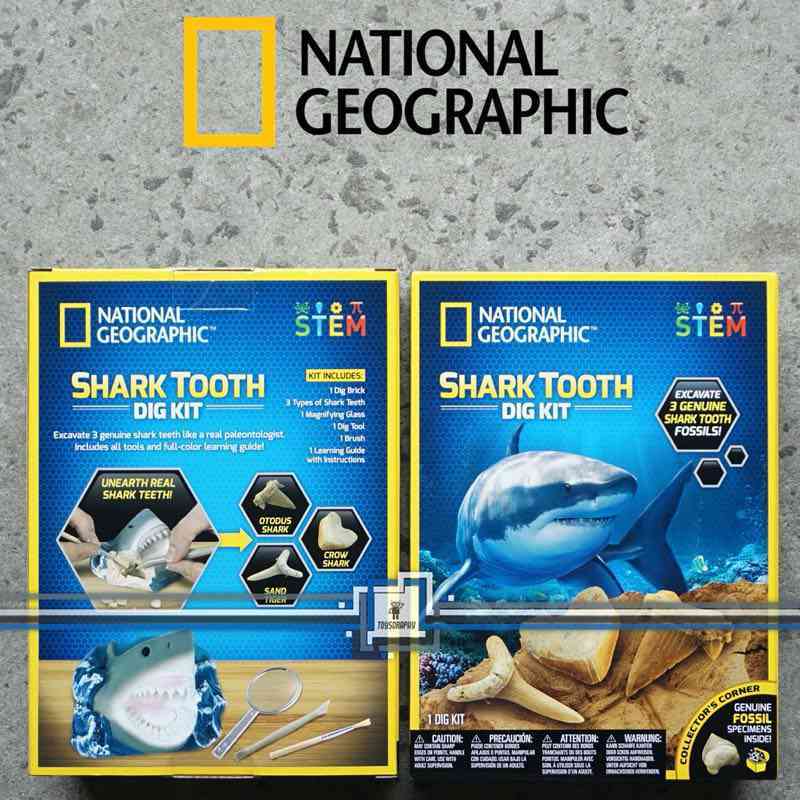 Jual NATIONAL GEOGRAPHIC Shark Tooth Dig Kit Real Shark Fossils STEM ...