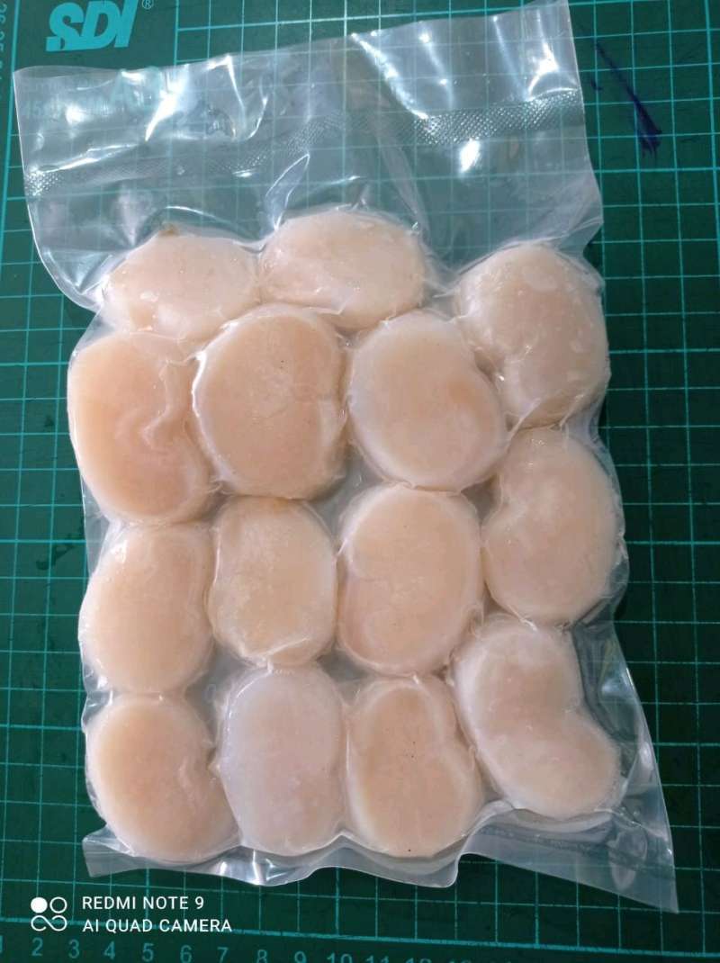 Jual Daging Scallop Besar 1000 Gram Halal Di Seller Lucky Seafood ...
