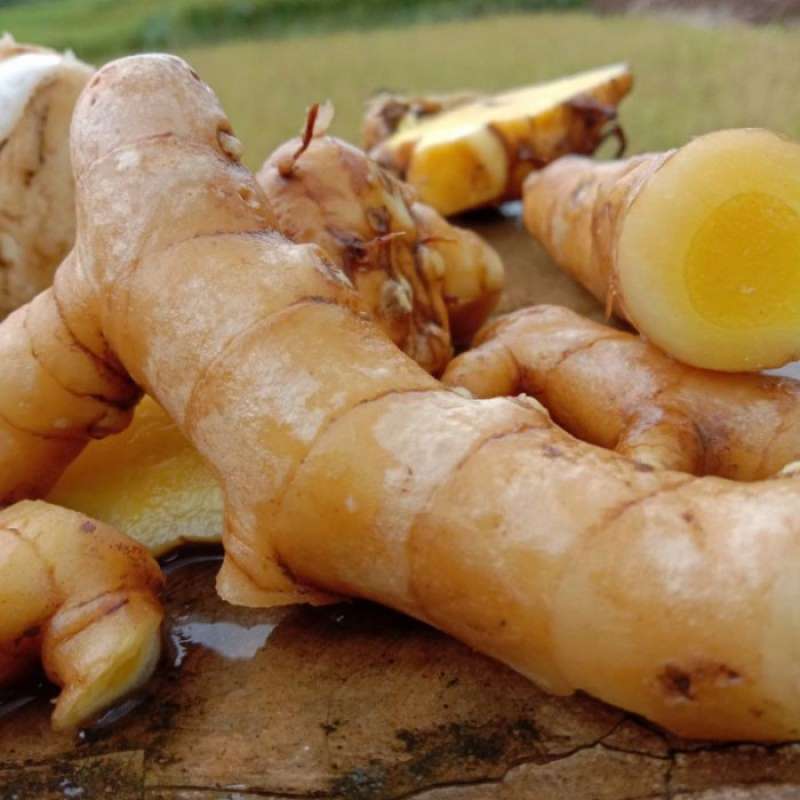 Promo Temu Mangga Segar 1 Kg (curcuma Mangga) Atau Kunyit Mangga Diskon ...