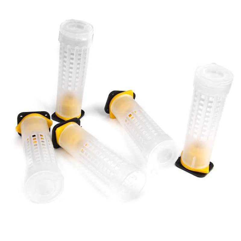 Jual 50x Beekeeping Queen Bee Hair Roller Cages +Cell Cup Holder and ...