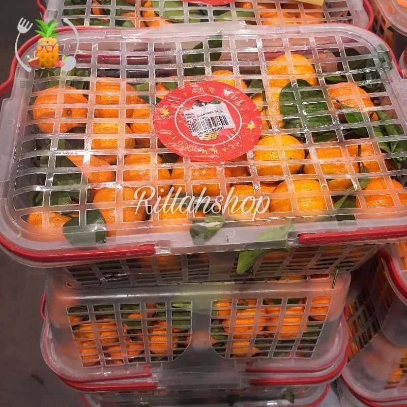 Jual Jeruk Shantang Daun Keranjang 3Kg - Paket Hampers Imlek Halal di ...