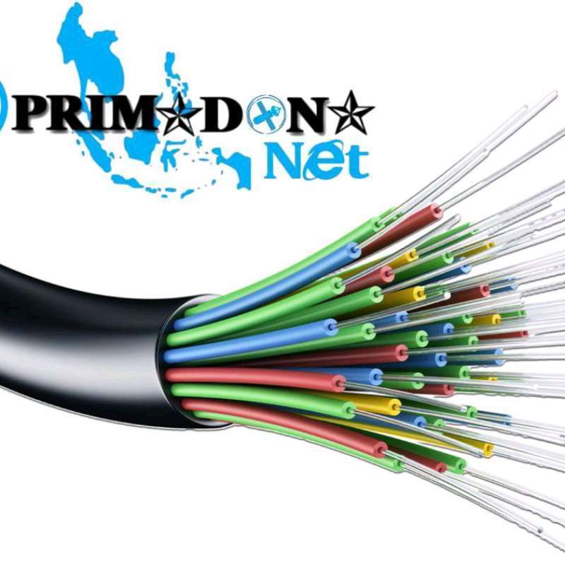 Jual Internet Fiber Optic Dedicated Untuk Corporate dan Pemerintahan ...