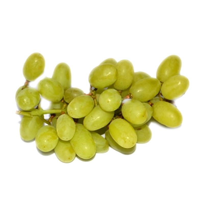 Jual Anggur 1 Kilo Termurah - Harga Grosir Terupdate Hari Ini | Blibli
