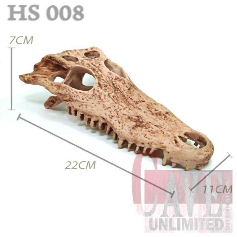 Promo HS008 HIDING SKULL TENGKORAK KEPALA BUAYA CROCODILE PREDATOR ...