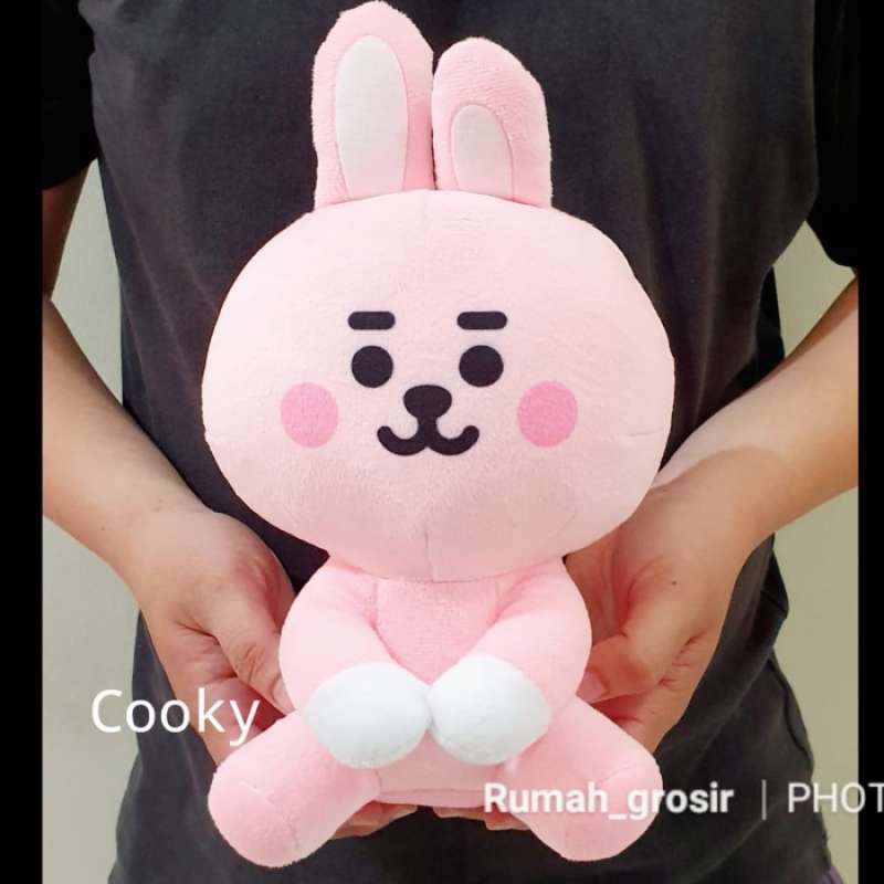 Promo Boneka Sitting BTS Chimmy Cooky Tata Rj Koya Mang Ukuran Kecil ...