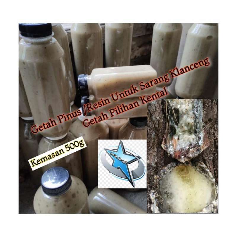 Jual Getah Pinus /Resin Untuk Sarang Klanceng Super Kental 500g di ...
