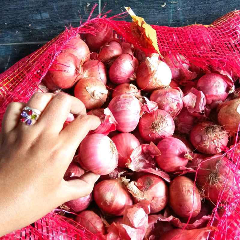 Jual bawang merah 1/2kg di Seller SURYA SHOP ORGANIZER - Ciantra, Kab ...