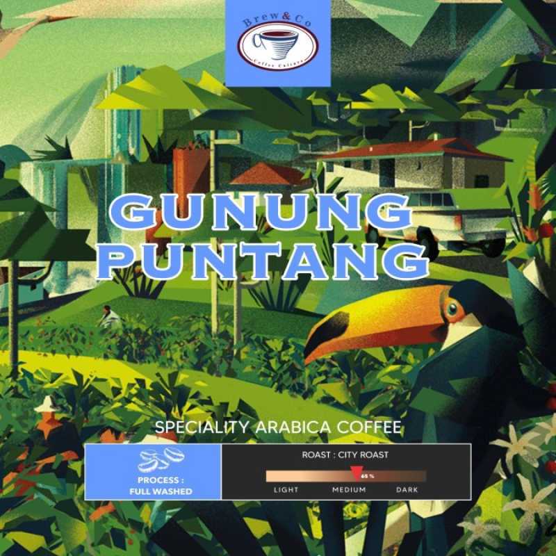 Jual Kopi Gunung Puntang Arabica Full Wash Brew&co Coffee Beans 200 Gr ...