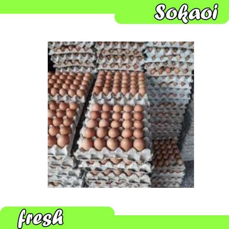 Jual Telur Ayam 1 Krat Termurah - Harga Grosir Terupdate Hari Ini | Blibli