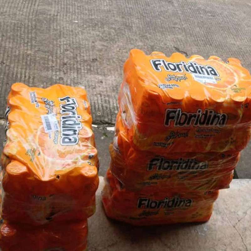Jual Floridina Florida Orange Minuman Floridina Botol 350ml Di Seller ...