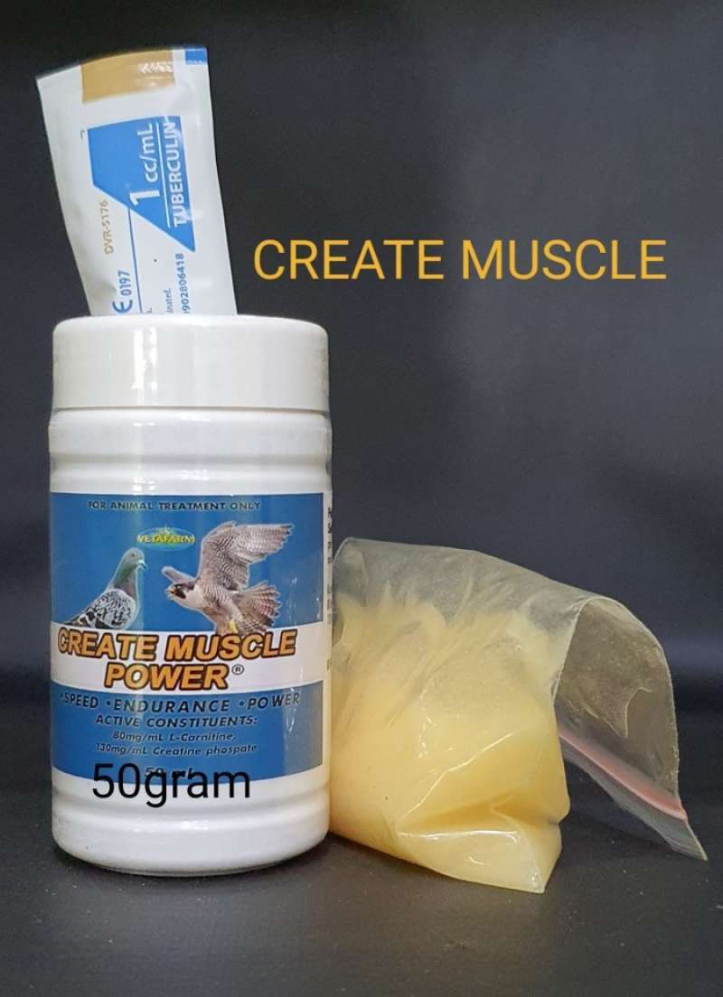 Promo CREATE MUSCLE POWER 50 GRAM - VETAFARM / FREE FLAY PARROT ...