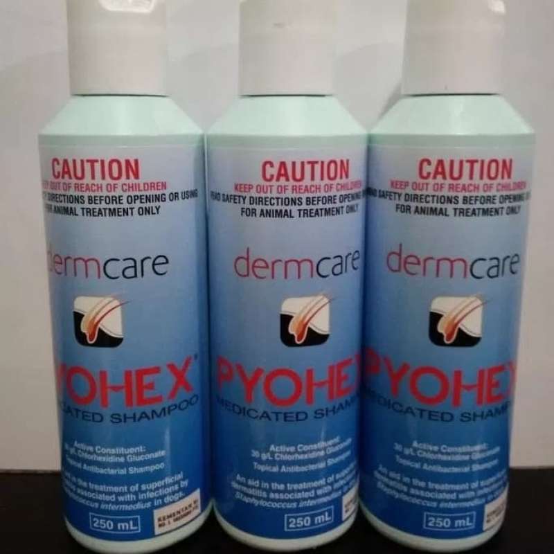 Jual DermCare Pyohex Medicated Shampoo 250 ml di Seller Fuschia Store ...