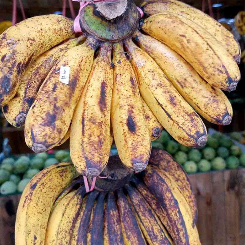 Jual Buah Pisang Barangan Medan Super 1 Sisir Matang Bogor - Asli Segar ...