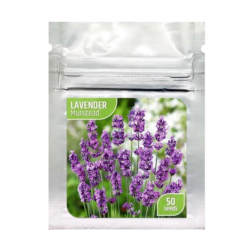 Jual OEM English Lavender Munstead Benih Bibit Bunga di Seller Bakulku ...