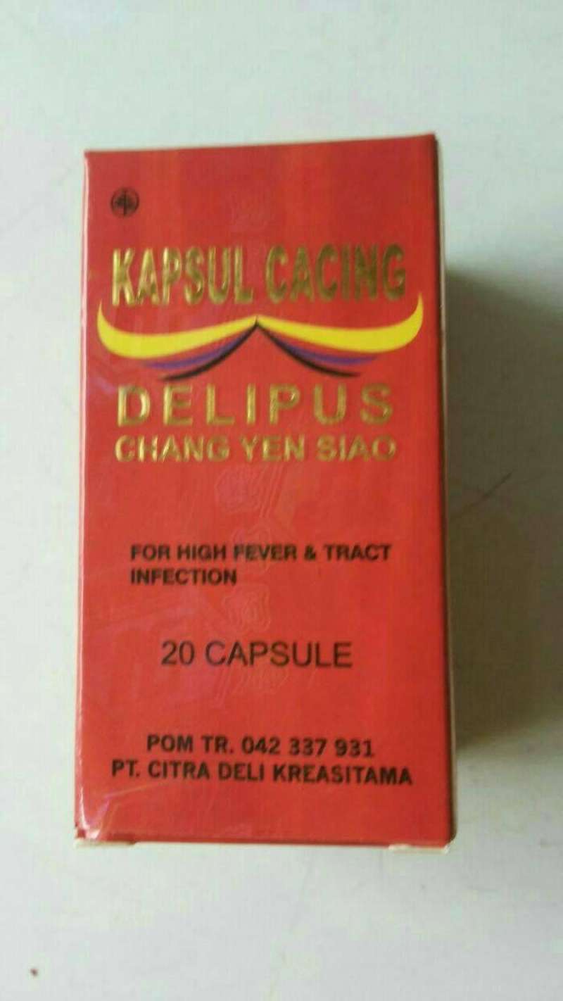 Jual Delipus kapsul cacing tanah / chang yen siao / obat tipes di ...