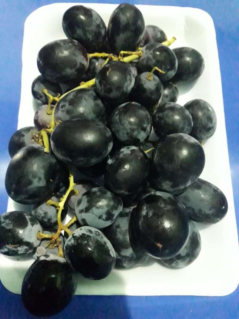 Jual Buah Anggur Autumn Royal Seedless di Seller CMF Shop - Kota ...