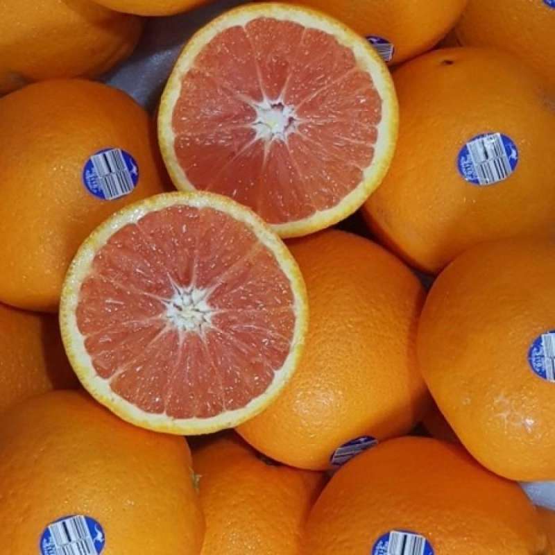 Jual Buah Jeruk Sunkist Cara Cara Di Seller Cmf Shop - Randusari, Kota ...