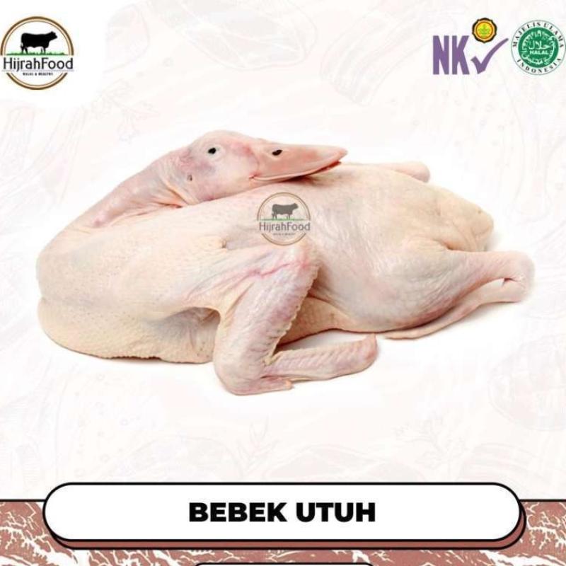 Jual Bebek Muda Hibrida Karkas Utuh Beku | Whole Duck Frozen - Pilih ...