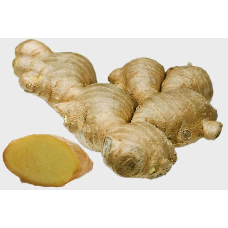 Jual HarvestMoon Jahe Kuning dan merah @250gr Halal di Seller Harvest ...