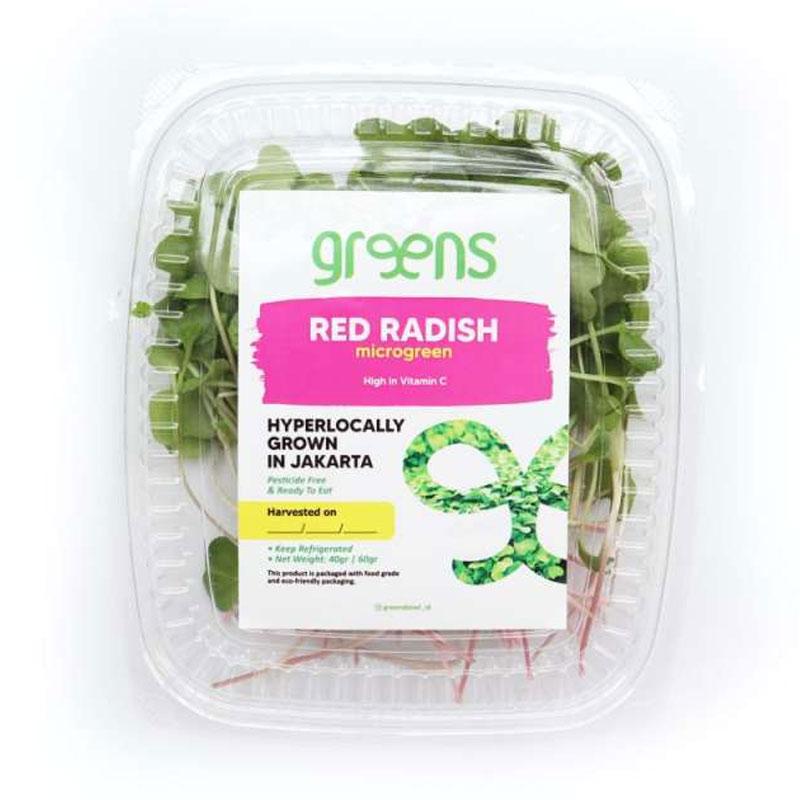 Jual RESEP - GREENS Red Radish Microgreen [40 g] di Seller Greens ...