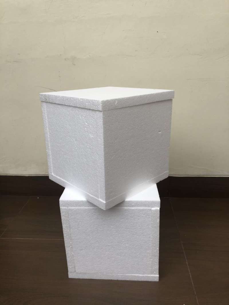 Jual Styrofoam Box Kecil 24 X 24 X 24cm Box Packing Di Seller Yasstore ...