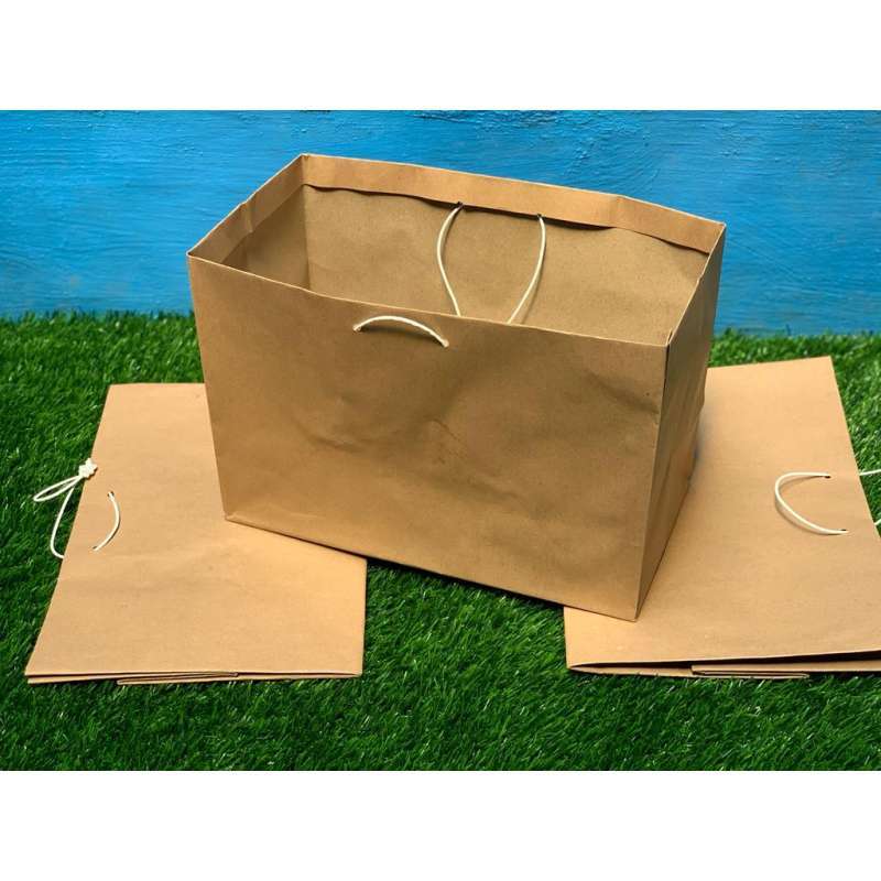 Jual Paper Bag Box Nasi Polos / Paperbag Polos Nasi Kotak / Dus Box ...