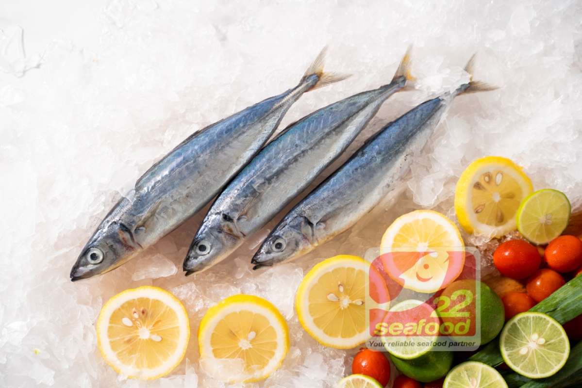 Jual Ikan Layang 1 Kg Isi 20-40 Ekor / 22 Seafood Halal Di Seller 22 ...