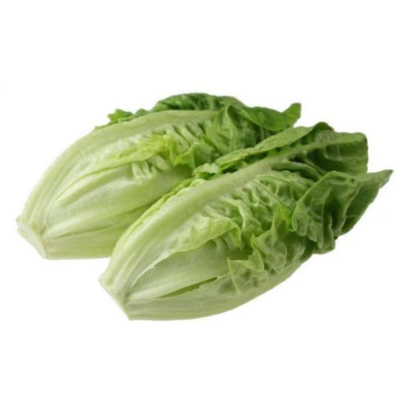 Jual Sayur Romen Sayuran Lettuce Roman Segar Romain 500gr di Seller ...