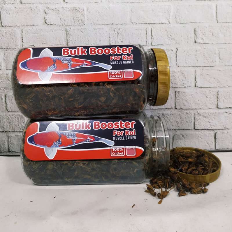Jual Pakan Ikan Makanan Ikan Koi Bulk Booster For Koi Jangkrik Kering ...