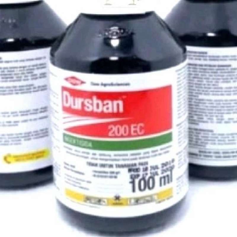 Jual Obat Pembasmi Hama Kutu Putih Belalang Uk 100gram Merk Dursban Di ...