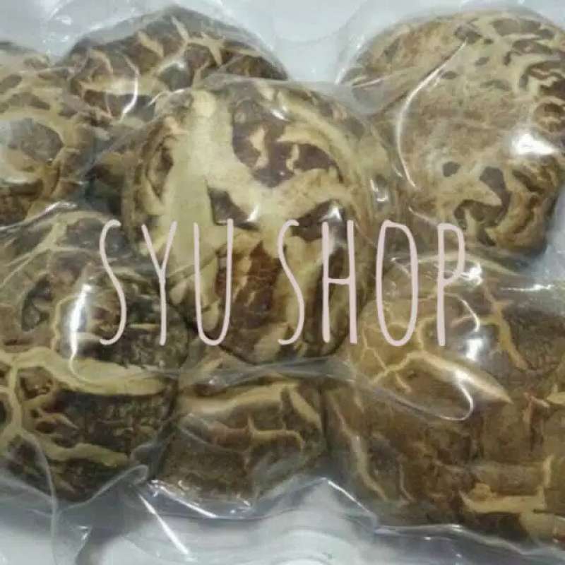 Jual Jamur Hioko Fuji Shitake Kering Grade A+ 100 G di Seller Syu Shop ...